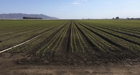 Climate Change: A four-part series – Dorian Merina